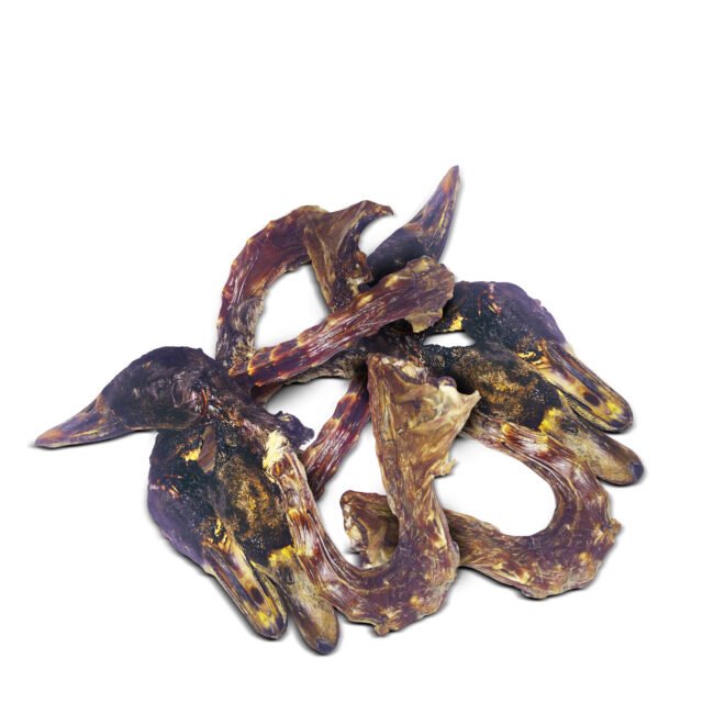 Dehydrated Duck Head with Neck Dog Treat | Green Fresh Pets Natural Dog ...